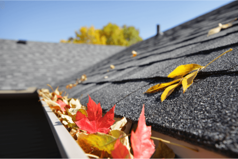Fall Roofing in Phoenix -Tips to Maintain Your Roof - Four Peaks Roofing